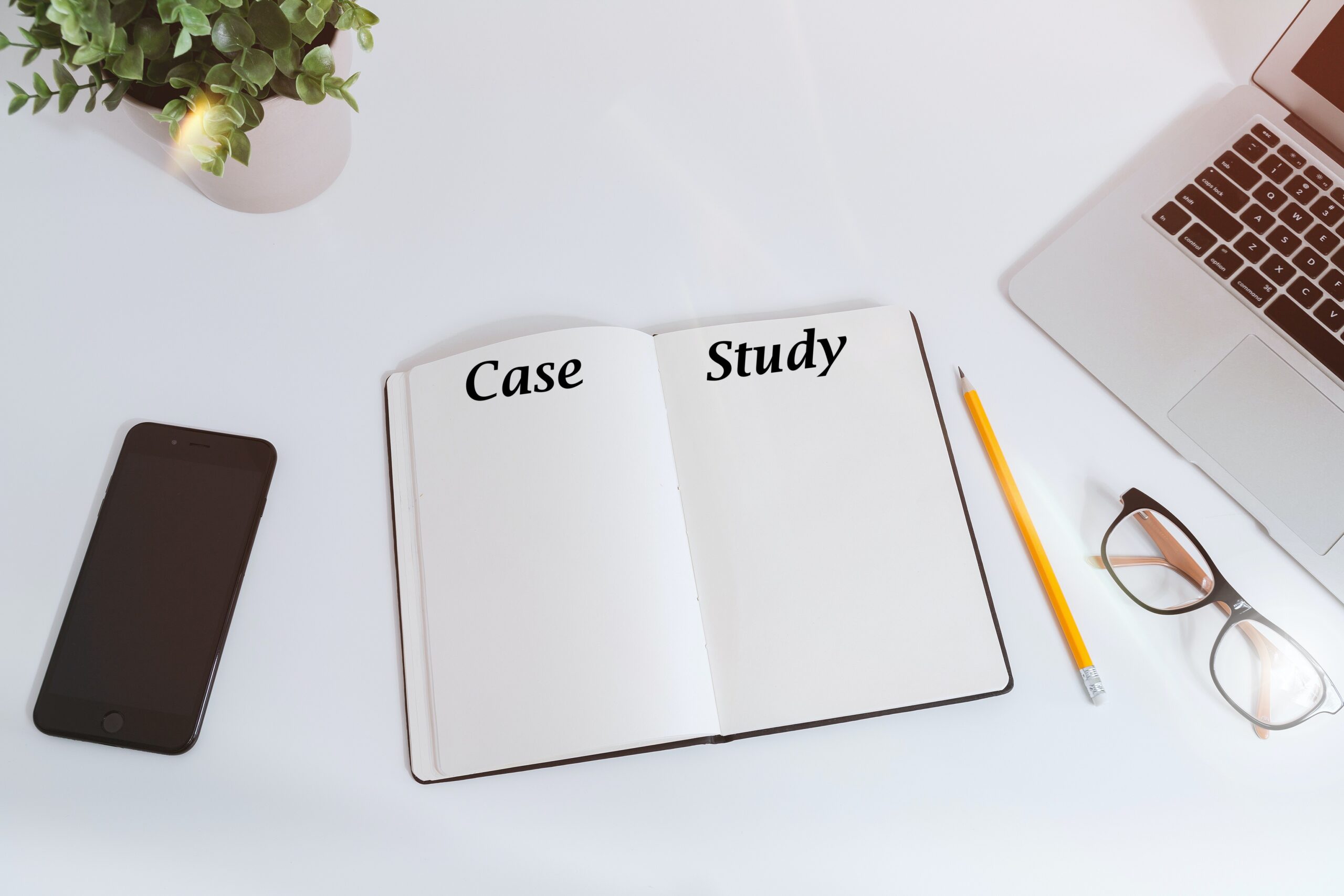 Case Study – Process Analysis - Powder Technology