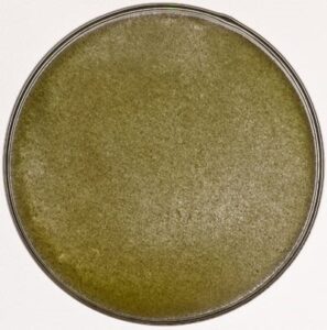 Toll Processing Capabilities - Powder Technology